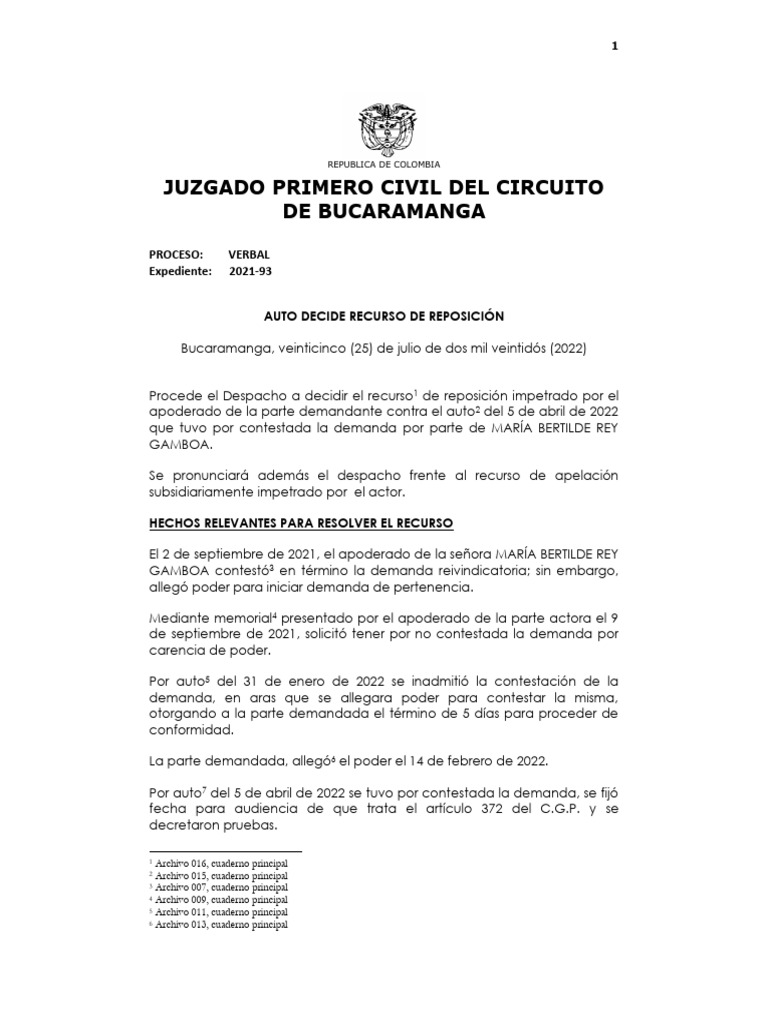 Decisión sobre recurso de reposición | PDF | Ley procesal | Ley constitucional