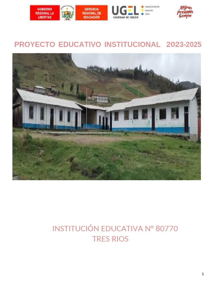 Proyecto Educativo Institucional-80770-2024 | PDF | Plan de estudios ...