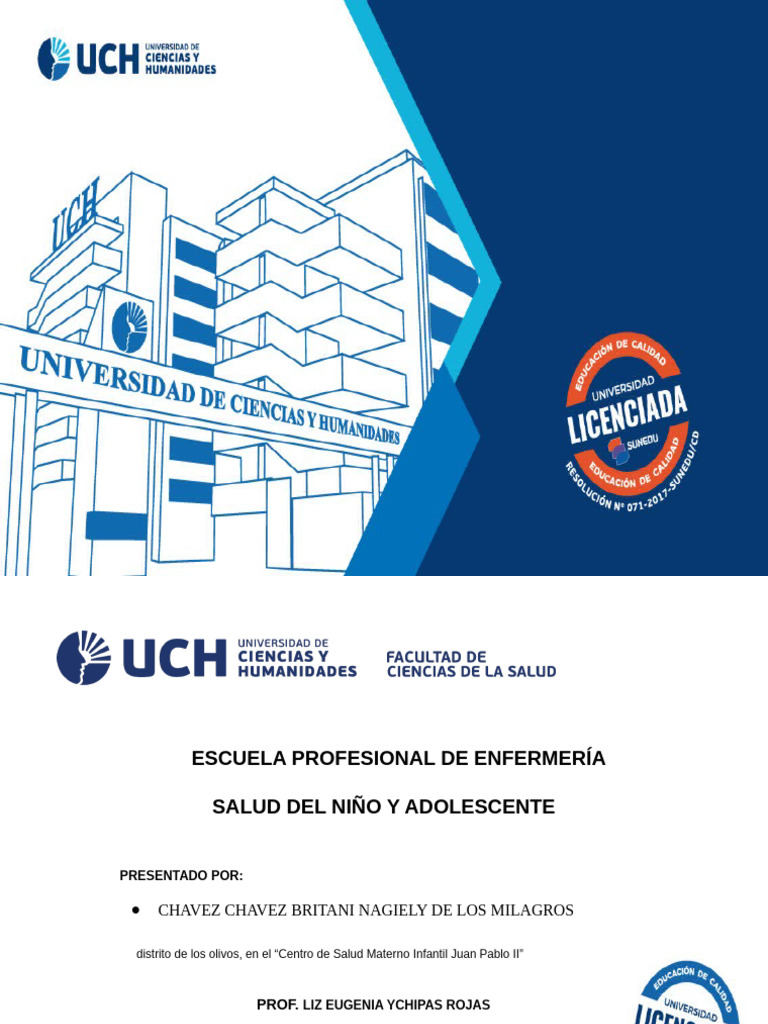 Presentacion de Pce 2023 (Chavez) | PDF | Enfermería | Comportamiento