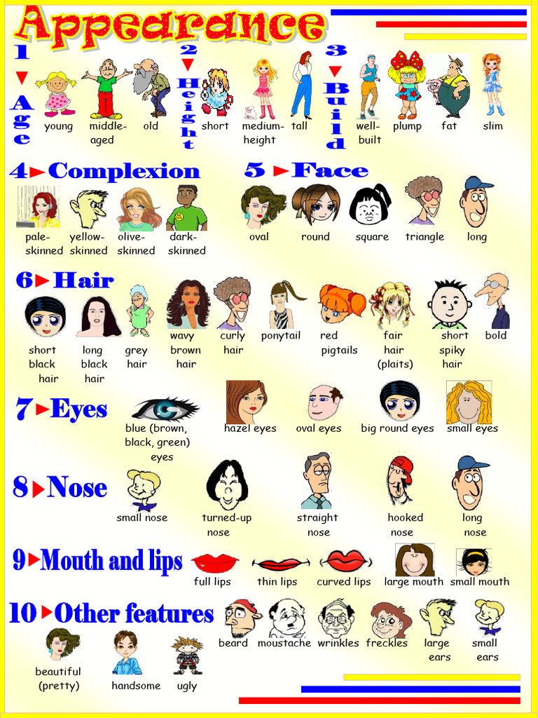 Appearance Picture Dictionary | PDF
