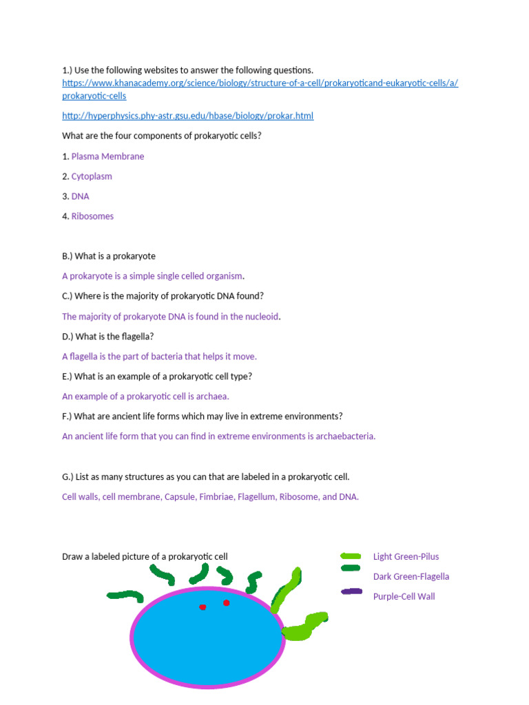 2022 Prokaryote Vs Eukaryote Webquest-1 | PDF | Cell (Biology) | Prokaryote