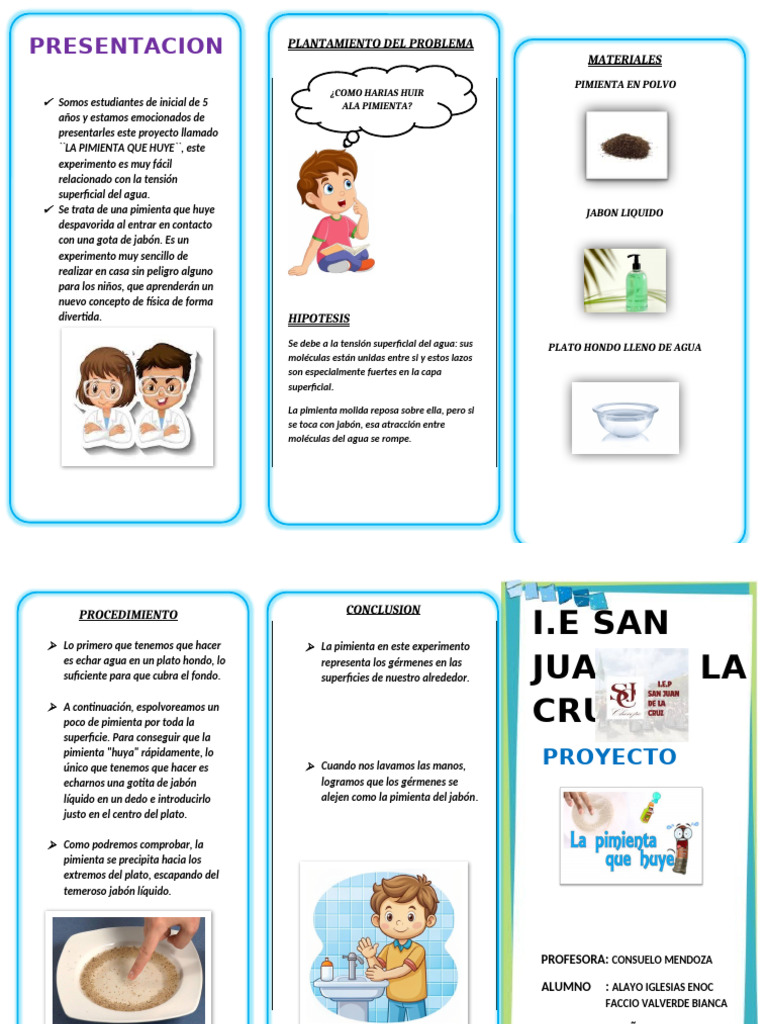 La pimienta que huye: experimento fácil | PDF | Agua | Química