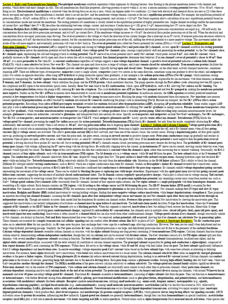 M101B Exam 2 Cheat Sheet | PDF | Nmda Receptor | Membrane Potential