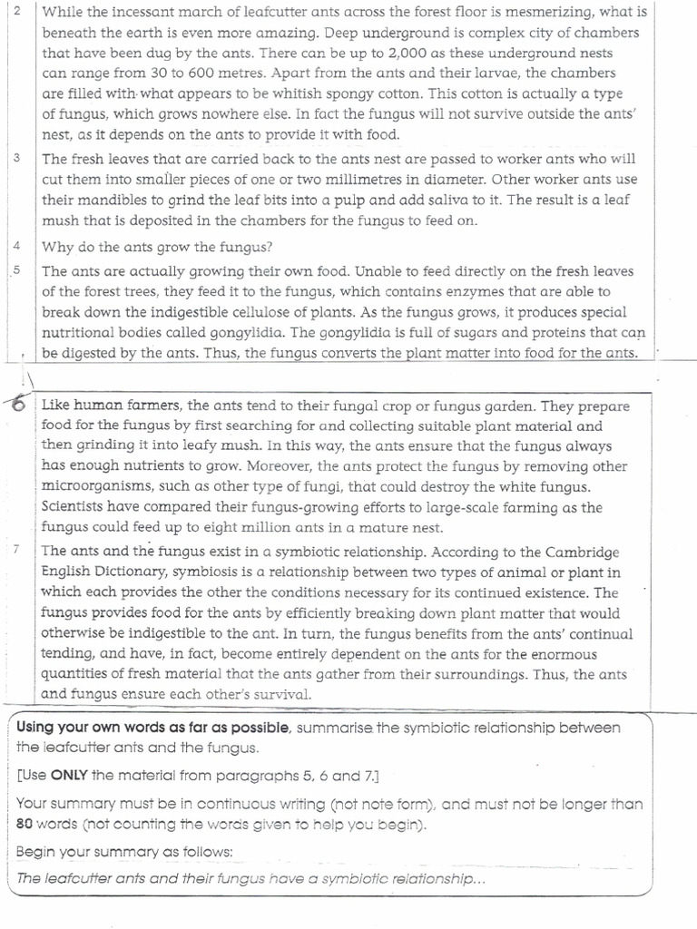 summary resources from mfc (2) | PDF | Fungus | Ant