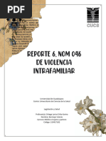 Curso Virtual para La Aplicación de La NOM 046 SSA2 2005. Atención Especializada en Violencia de ...