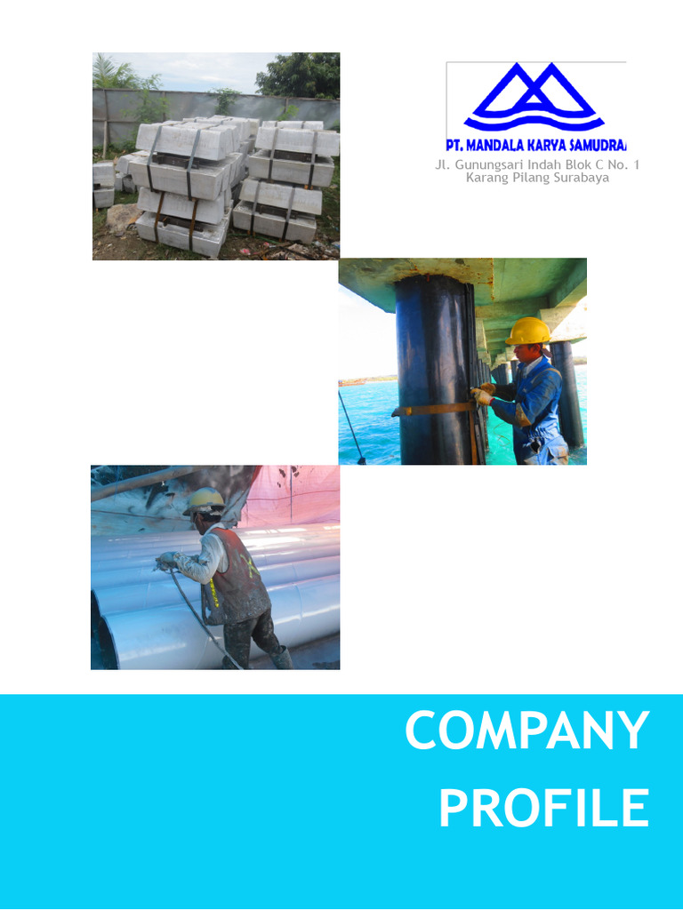 MKS Company Profile | PDF
