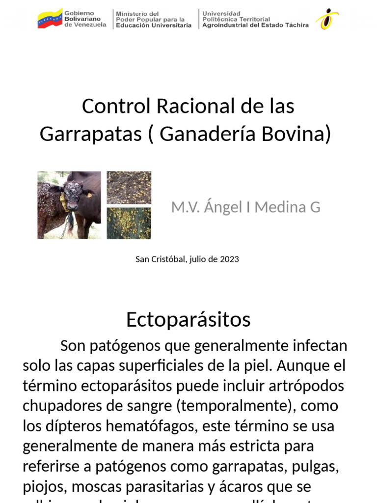 Control Racional de Las Garrapatas | PDF | Parasitismo | Vacas