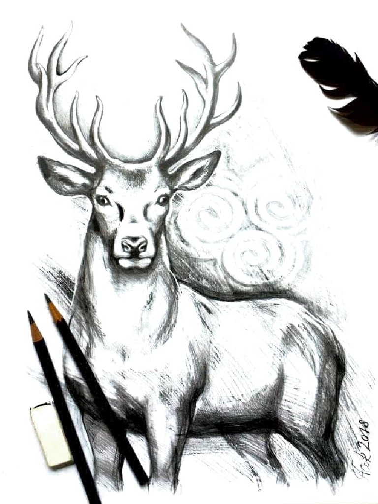 Dessin | PDF