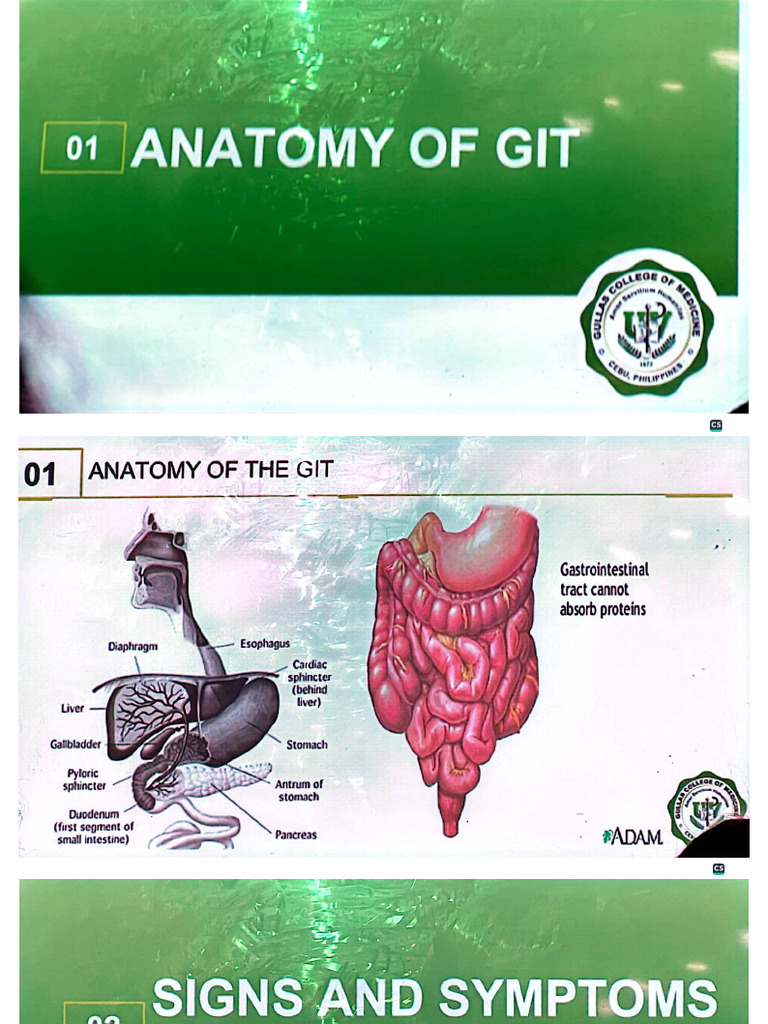 PEDIA 3-Gastroenterology and Hepatology 1 | PDF