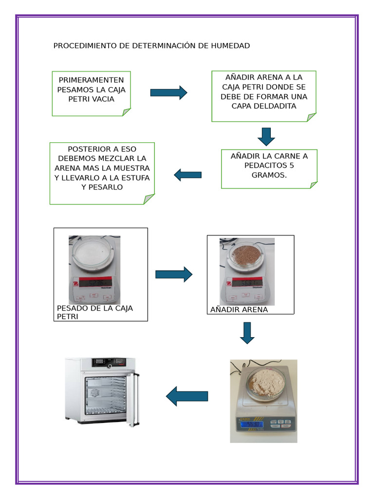Procedimiento de Análisis de Humedad en Alimentos | PDF | Carne ...