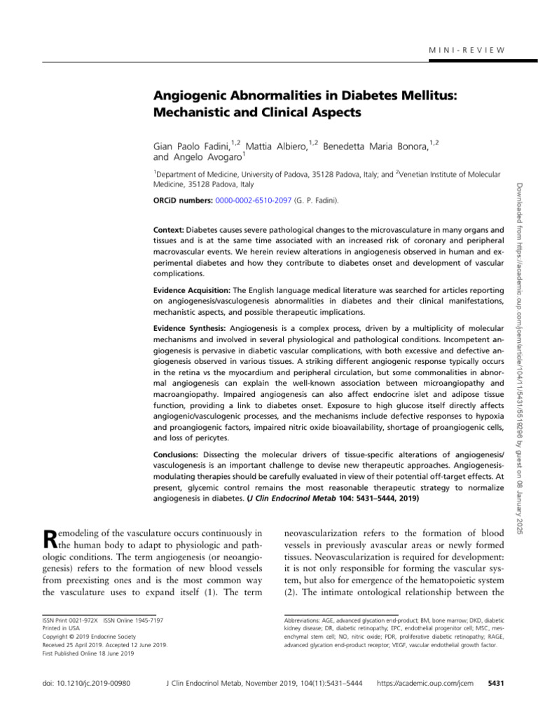 Angiogenic Abnormalities in Diabetes Mellitus Mechanistic and Clinical ...
