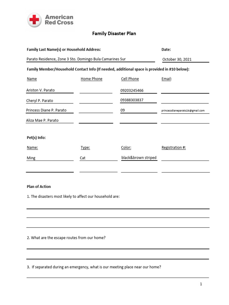 Family Emergency Plan Template | PDF