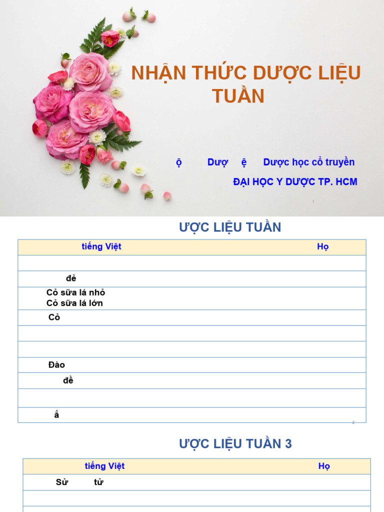 2024 - NTDL - Bai 5 | PDF