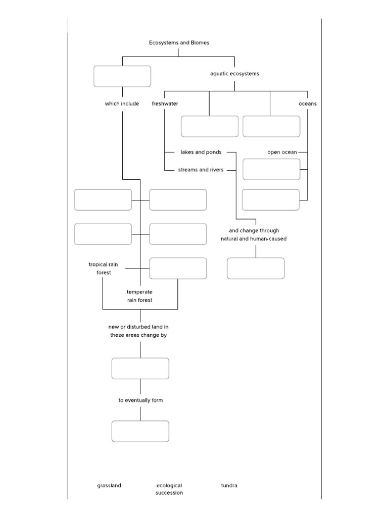 Concept Map #1 | PDF