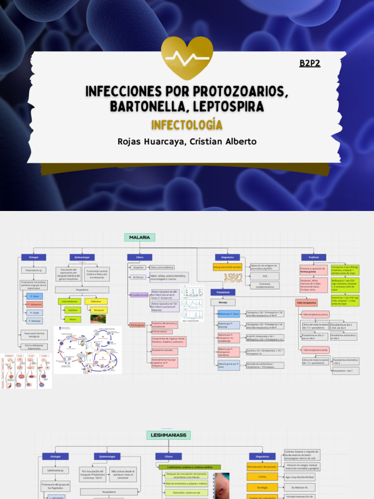 Bartonella, Leptospira | PDF