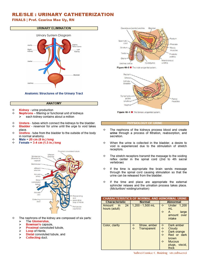 Finals Sle Urinary Catheterization | PDF | Urinary Incontinence | Urination