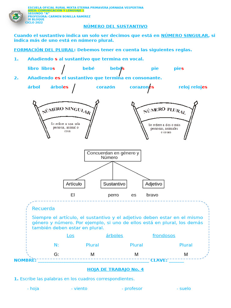 Ejercicios de Género y Número | PDF | Plural | Sustantivo