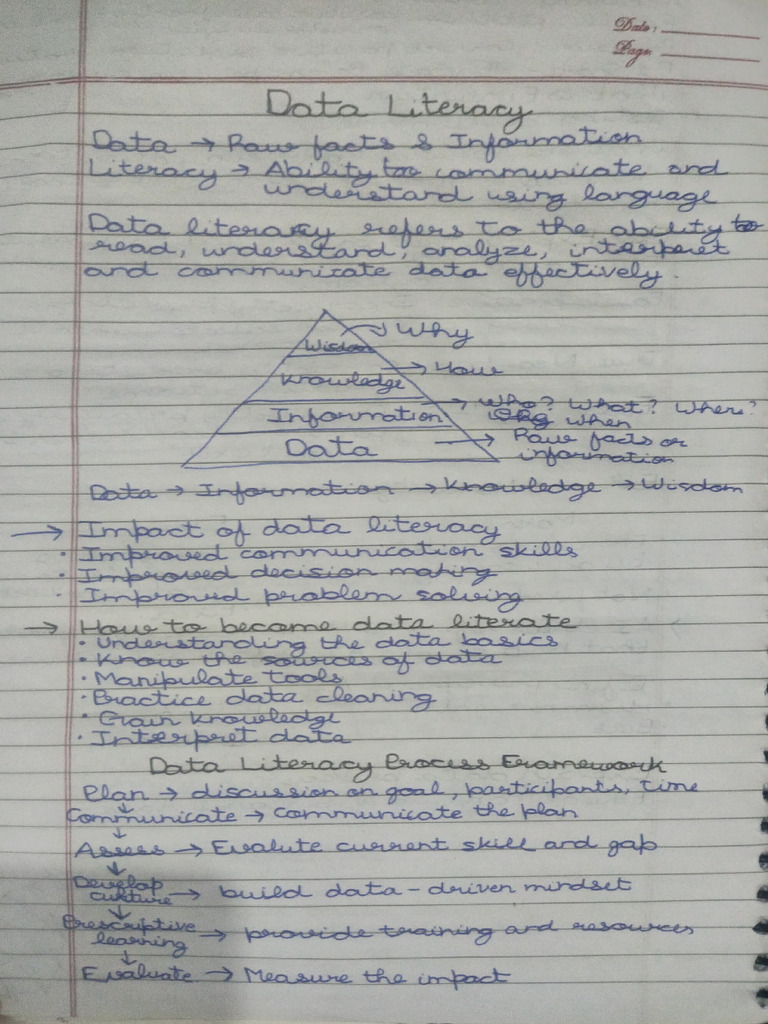 Data Literacy | PDF
