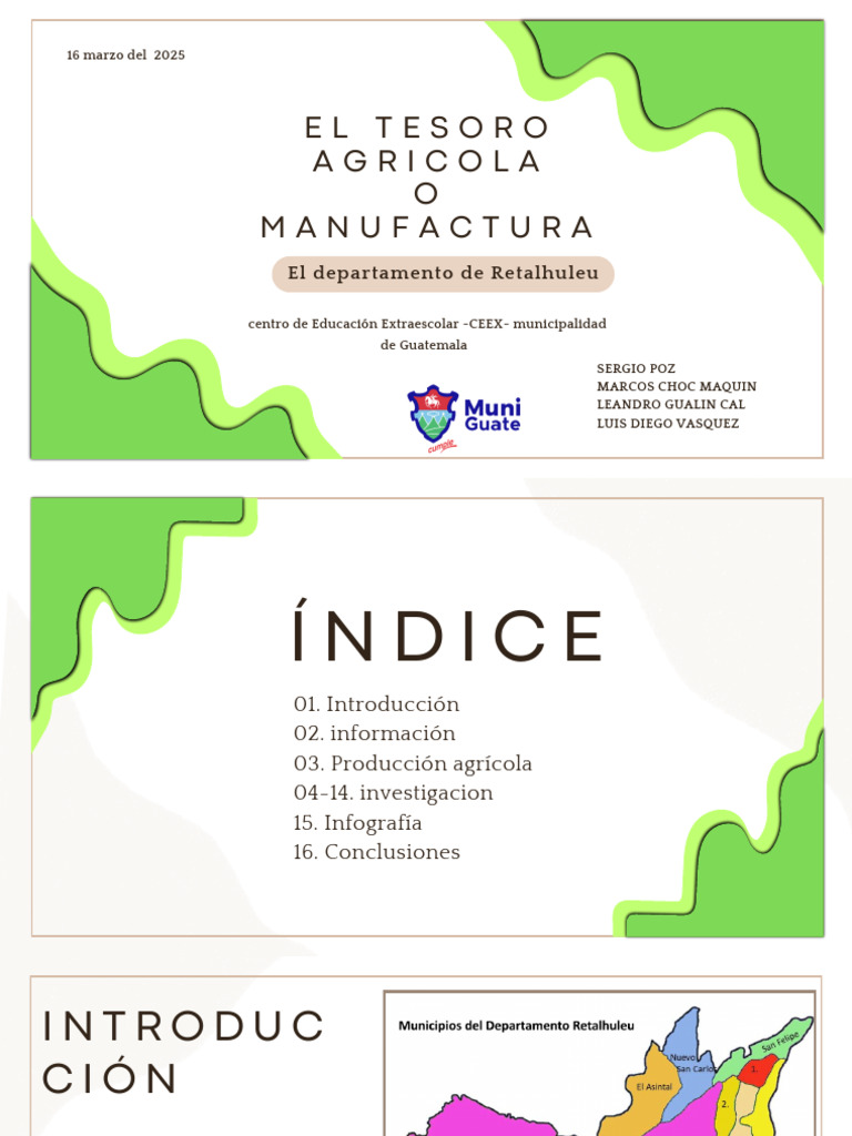 Autoría Bruno Lago | PDF | Agricultura | Algodón