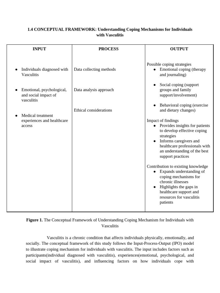 IPO Conceptual Framework | PDF | Health Care | Psychology