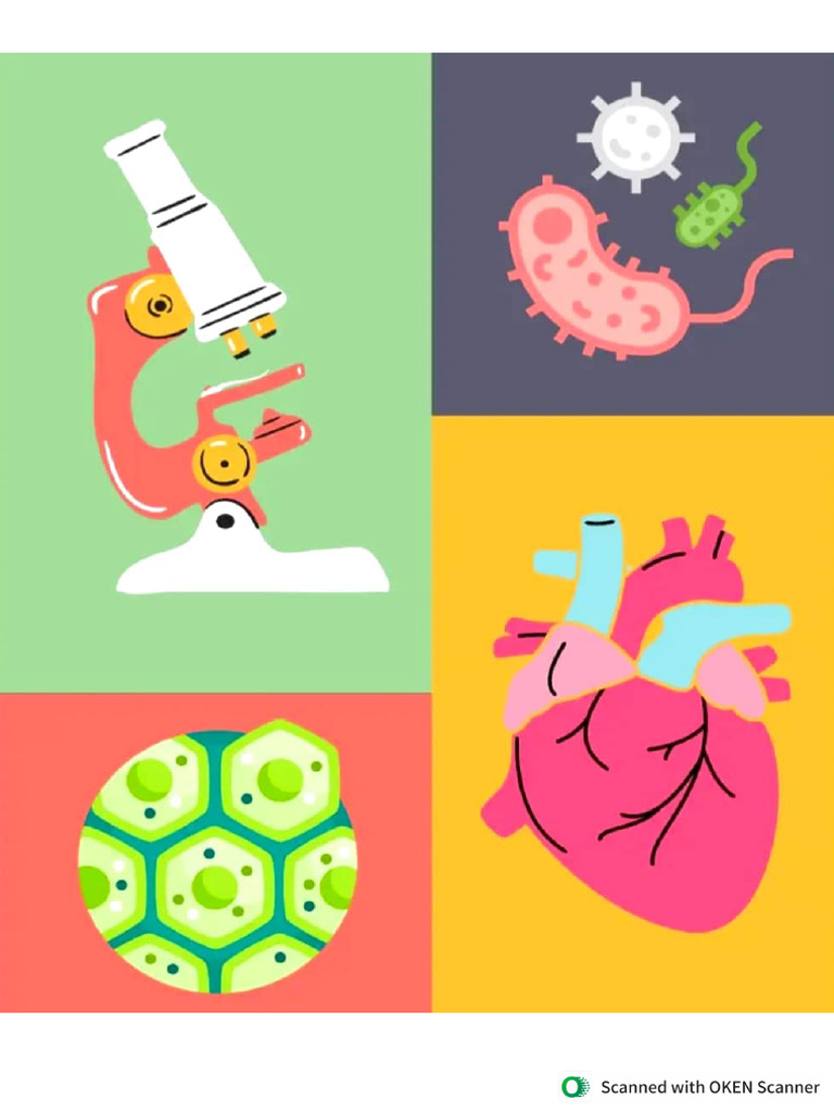 Prashant Kirad .Fahim - Nalla Azahar PDF | PDF