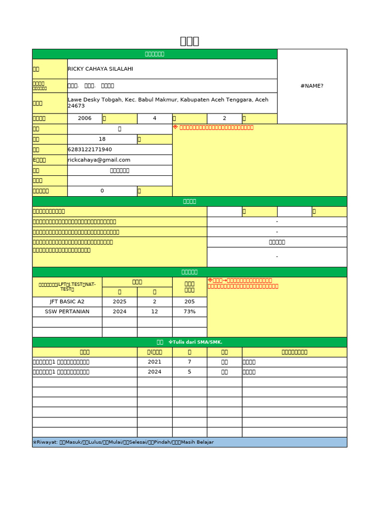 Format CV Ohm Convi | PDF
