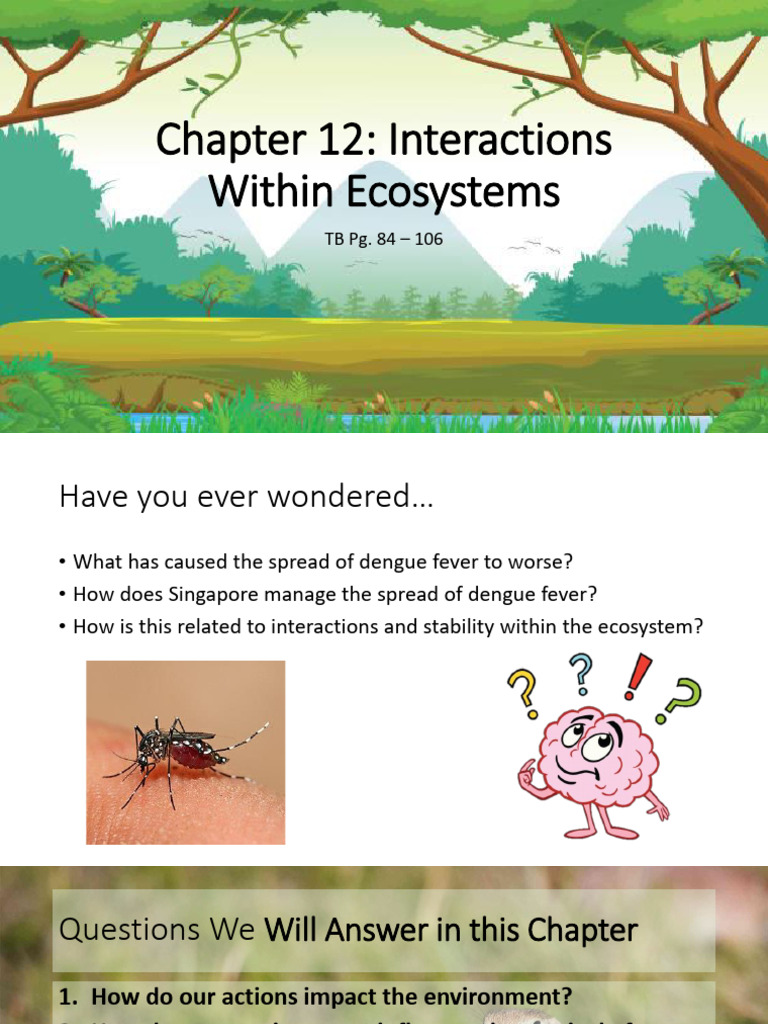 Interactions Within Ecosystems | PDF | Climate Change | Foods
