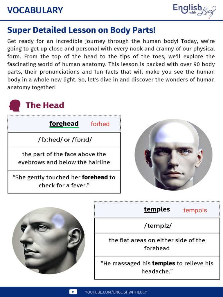 Body Parts Vocabulary Guide | PDF | Vertebral Column | Reproductive System