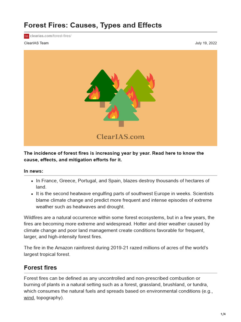 Forest Fires Causes Types and Effects | PDF | Wildfire | Fires