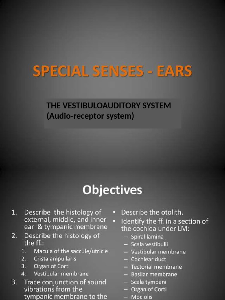 Special Senses Ear Histology Lecture Slide | PDF
