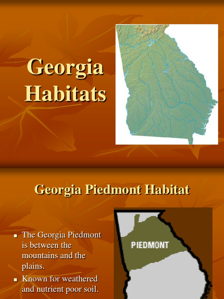 3rd Grade Georgia Habitats | PDF | Habitat | Oil Spill