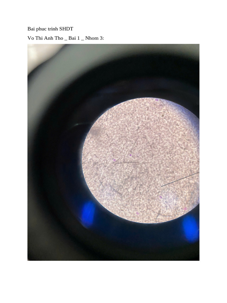 Nop Bai Thuc Hanh | PDF