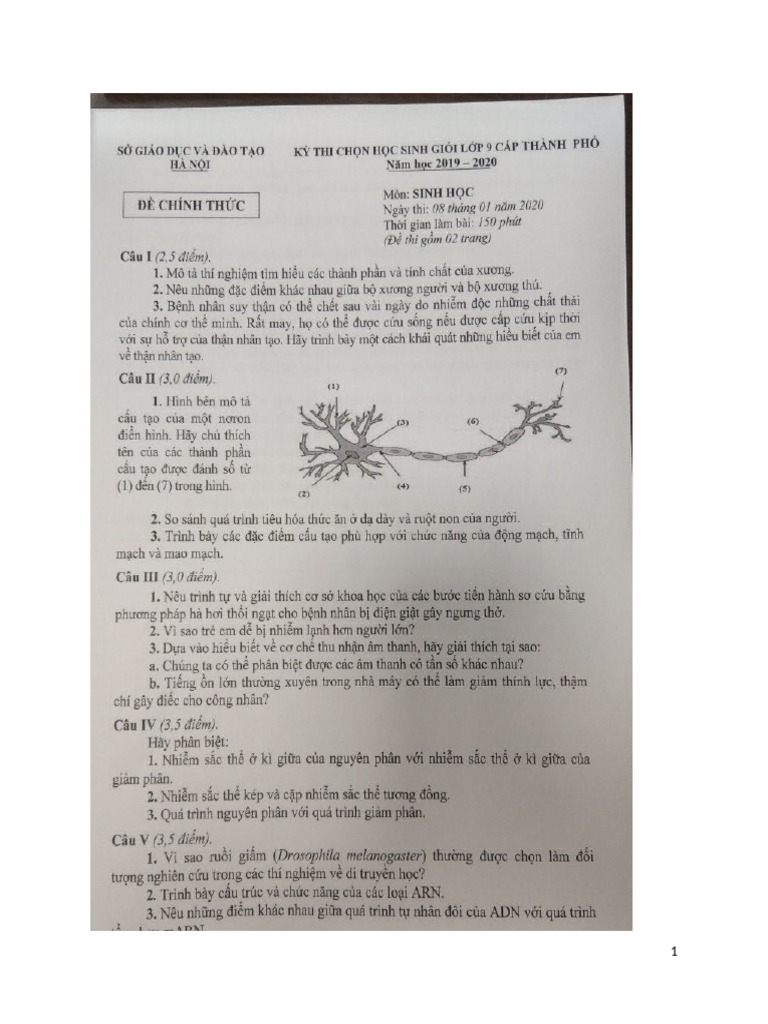 Đề HSG P 2019 | PDF