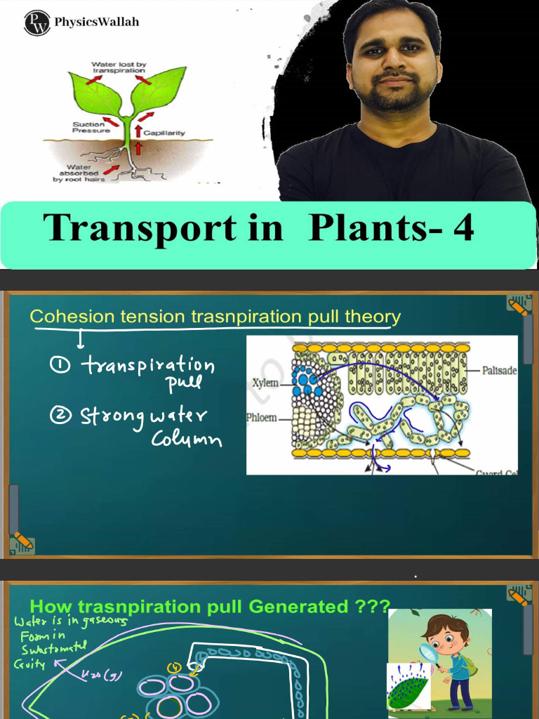 Transport in Plants 04 - Transpiration - Class 11 - NEET - Pace Series ...
