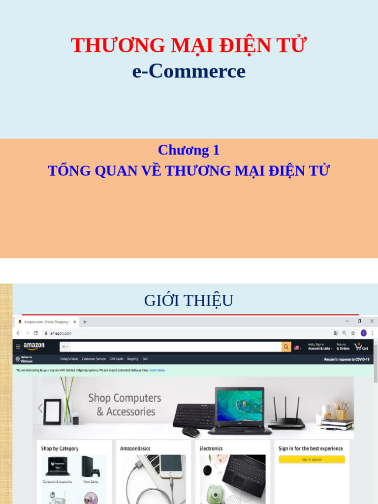 Chuong1_TongquanveTMDT | PDF