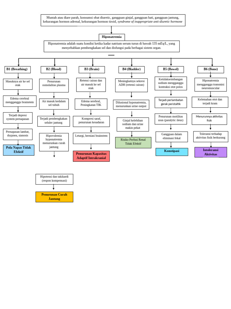 Web of Caution Hiponatremia | PDF