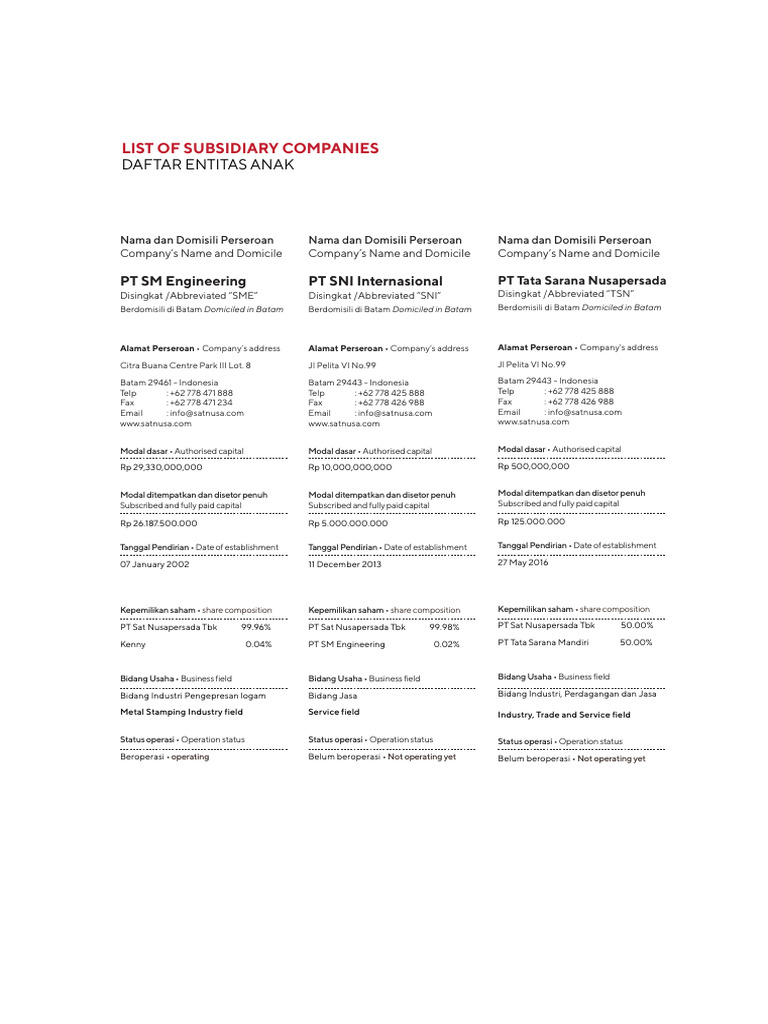 Subsidiary Companies Overview | PDF