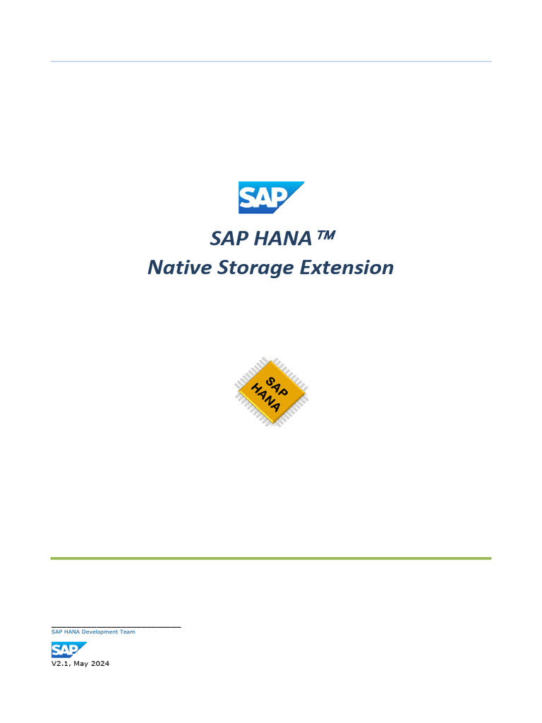 SAP HANA Native Storage Extension | PDF | Cache (Computing) | Databases