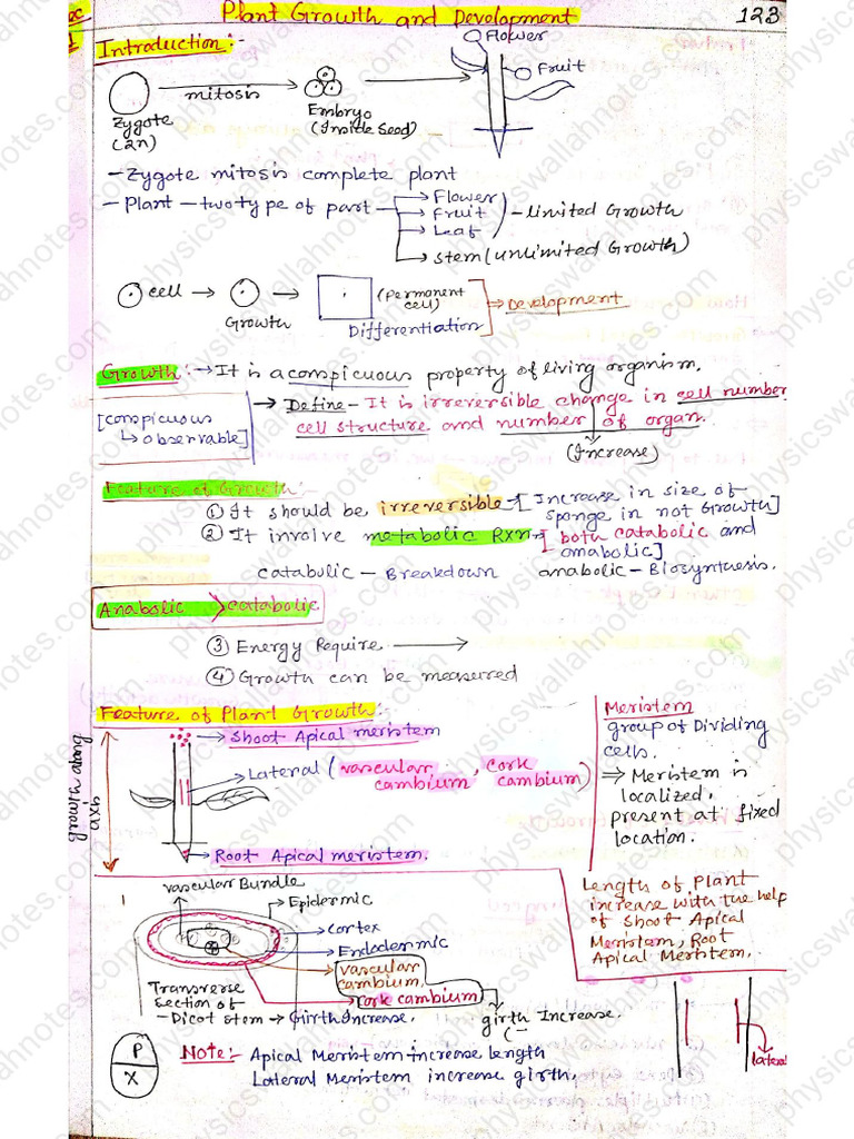 Plants growth and development | PDF