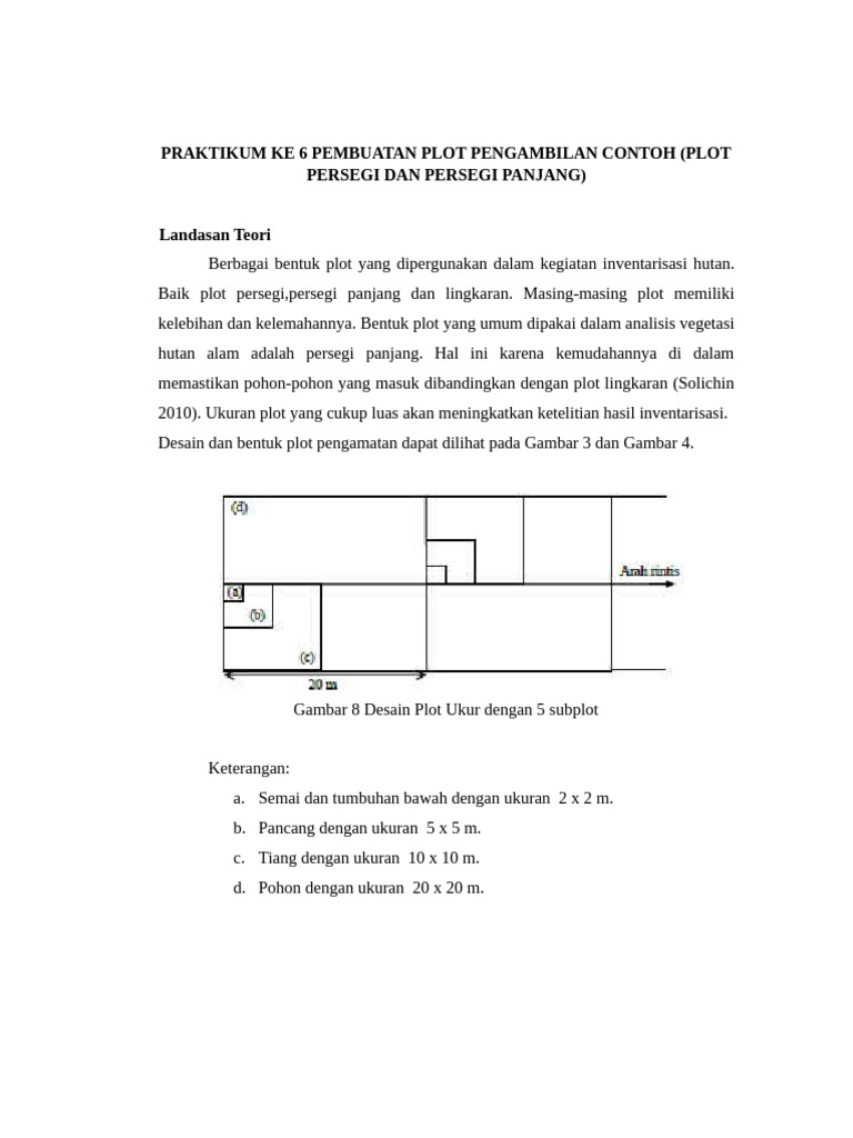 Praktikum Plot Persegi dan Persegi Panjang | PDF