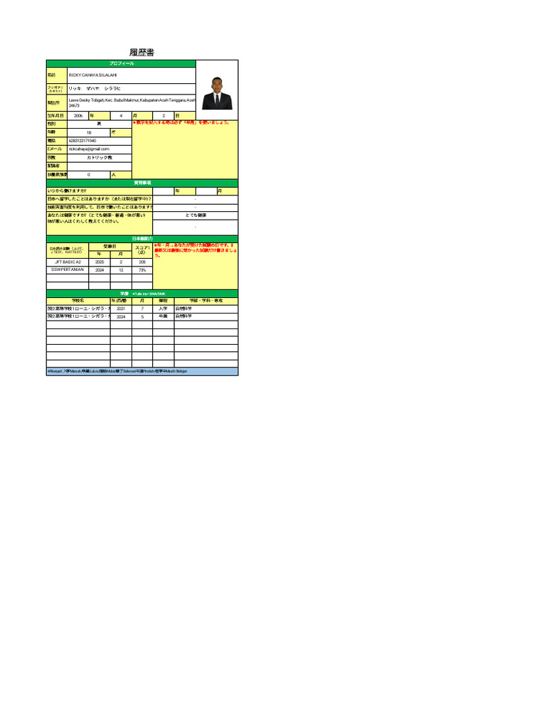 Format CV Ohm Convi | PDF