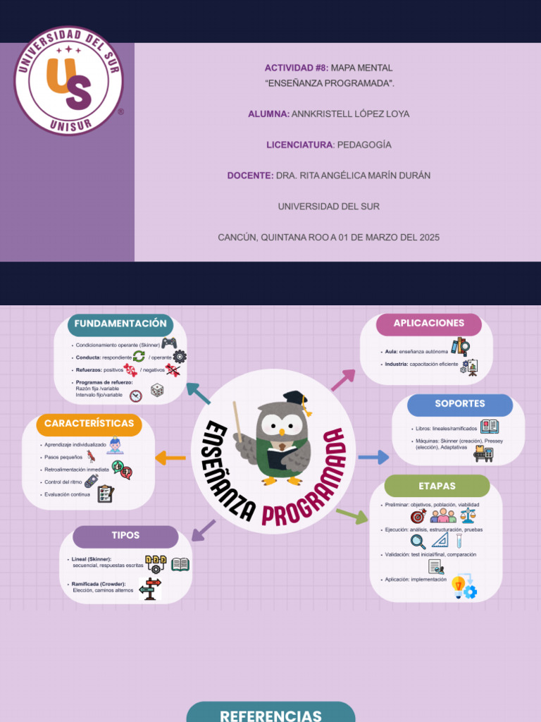 Actv 8 Mapa Mental Dra Rita Programada | PDF