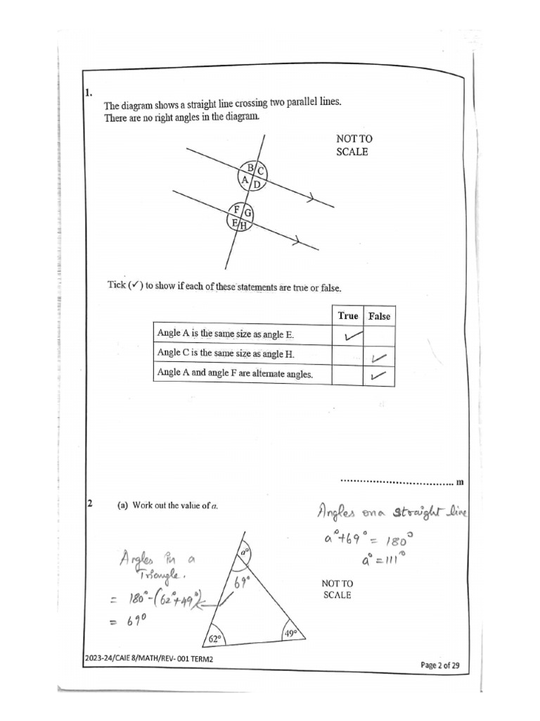 CAIE 8 Term 2 Revision WS Answer Key | PDF