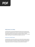 METAMERAS | PDF | Mano | Dedo del pie