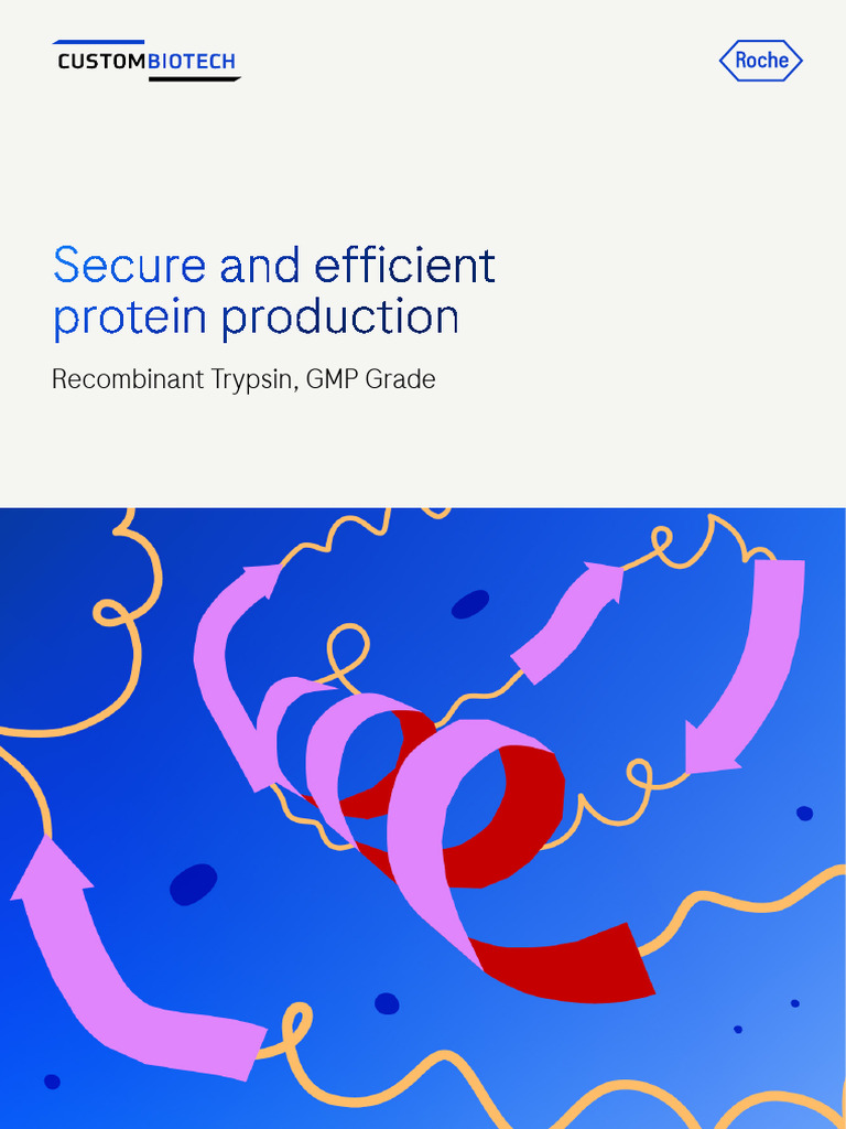 CustomBiotech - Trypsin - Recombinant - GMP - Grade - ProductFlyer New Stability Data | PDF ...
