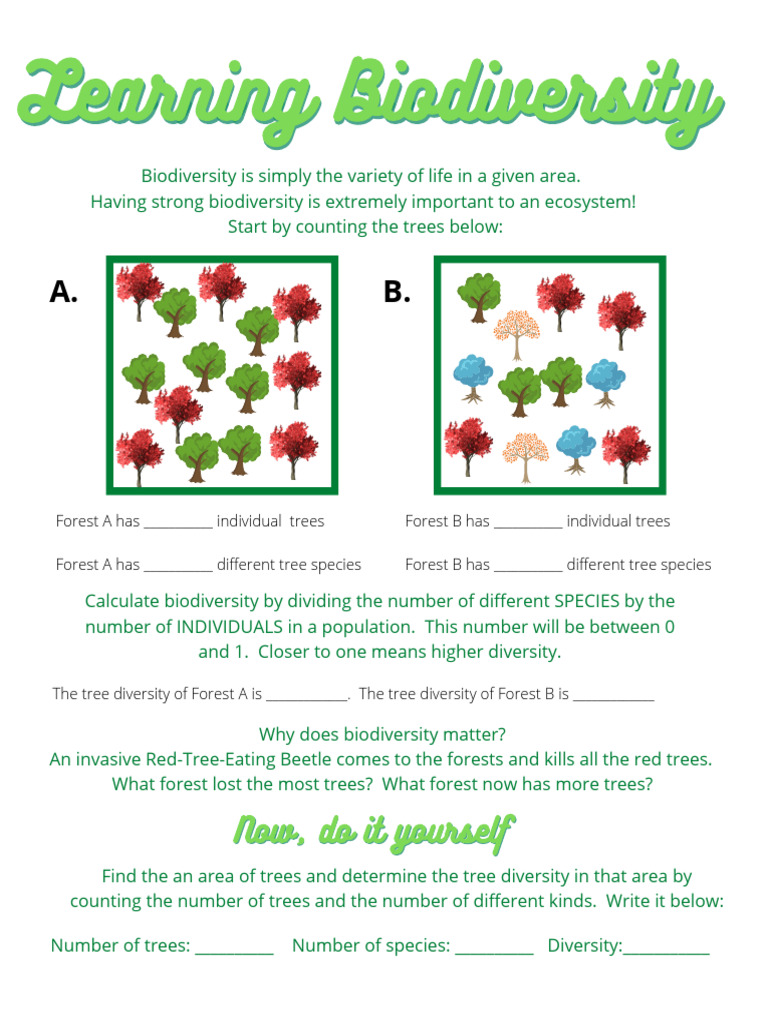 Biodiversity Worksheet | PDF