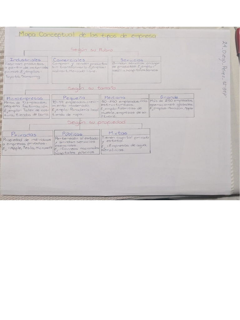 24 Diego Perez MAPA-CONCEPTUAL | PDF