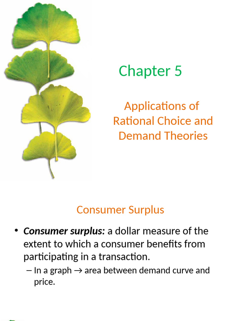 Chapter 5-2020-2021 | PDF | Economic Surplus | Demand