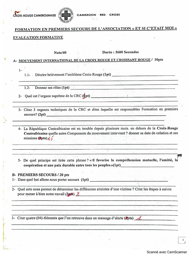 MFOUNDI Formative | PDF