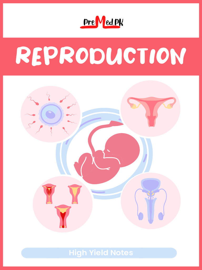 Reproduction Mechanisms in Biology | PDF | Menstrual Cycle | Sexual ...